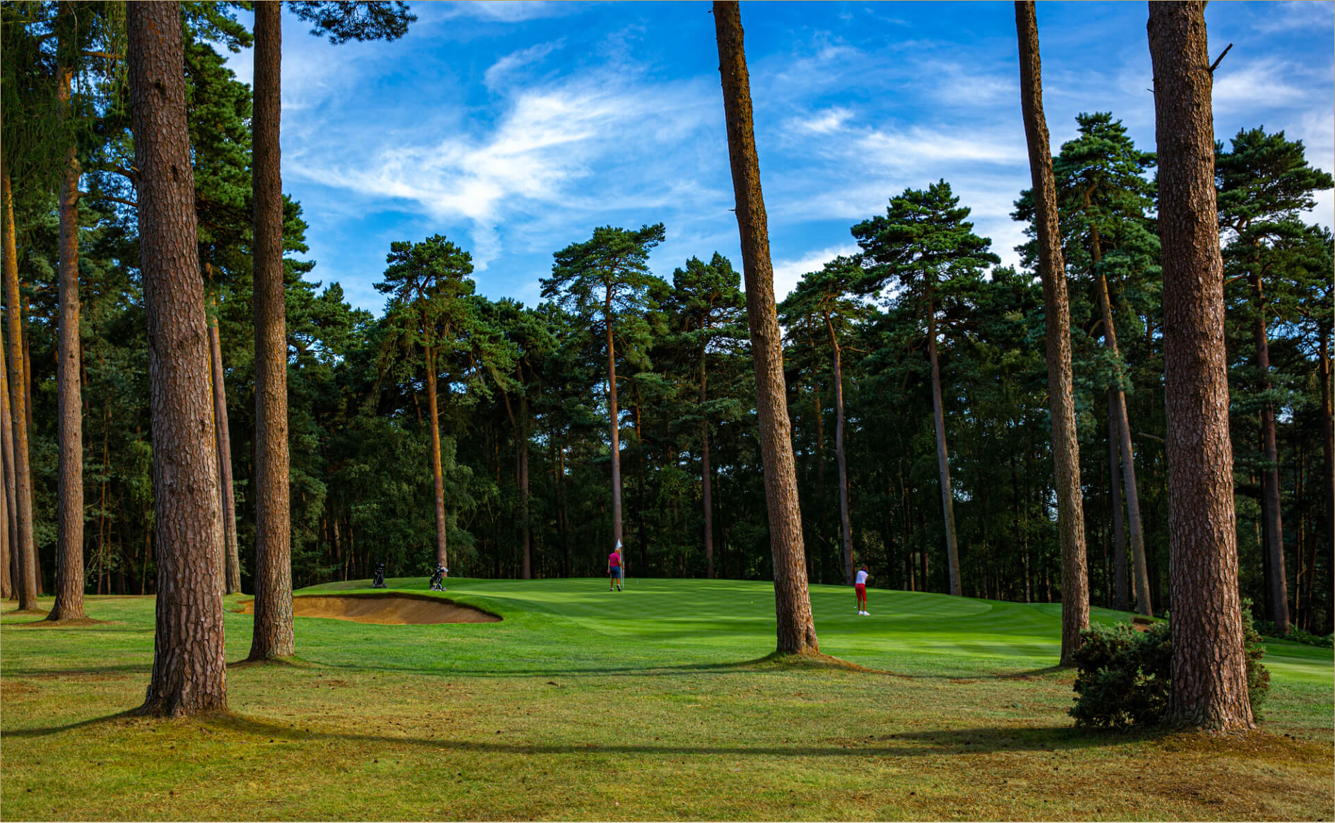 Visitor Golf | Woburn Golf Club