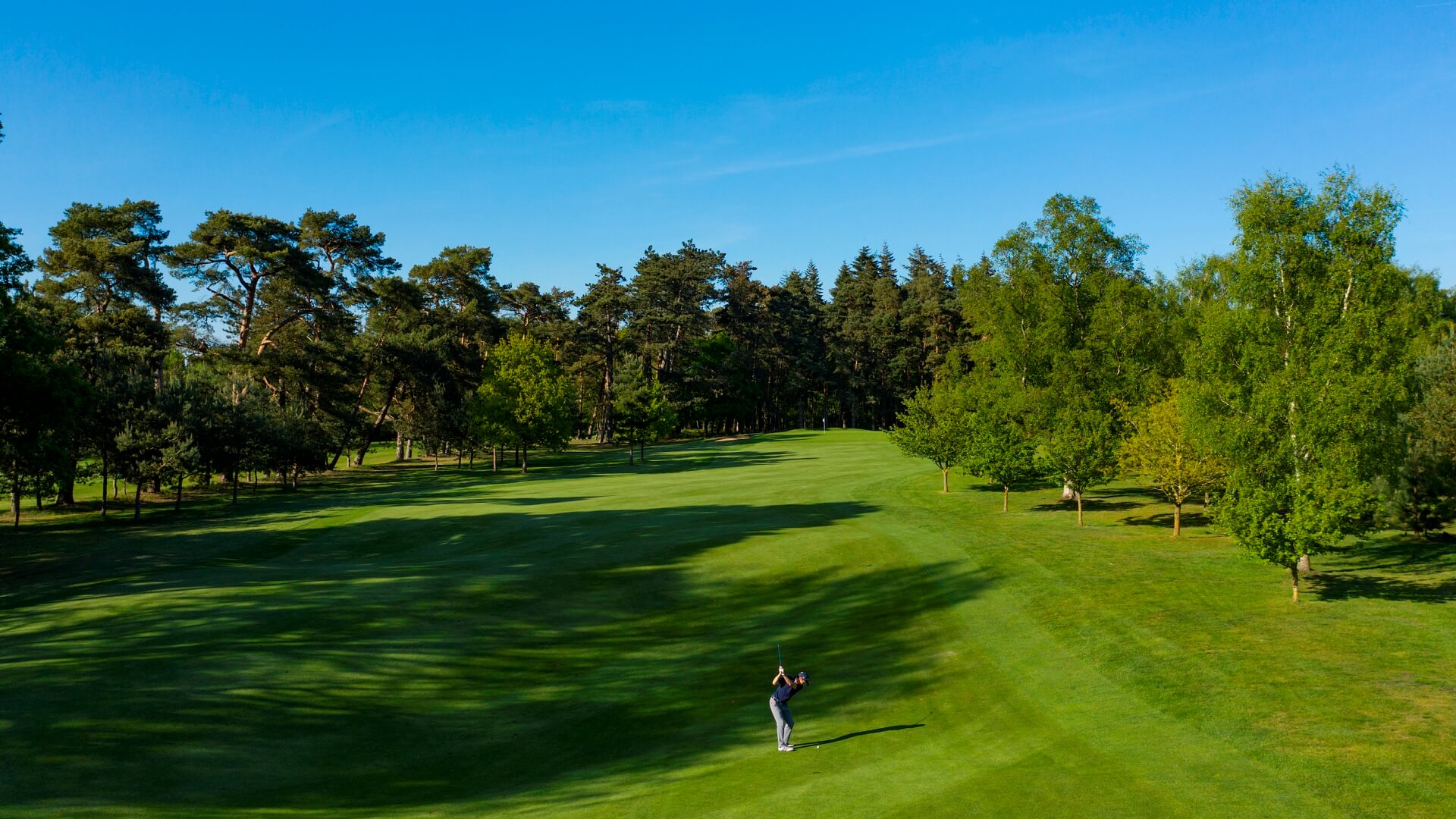 Duke's Course Woburn | Woburn Golf Club