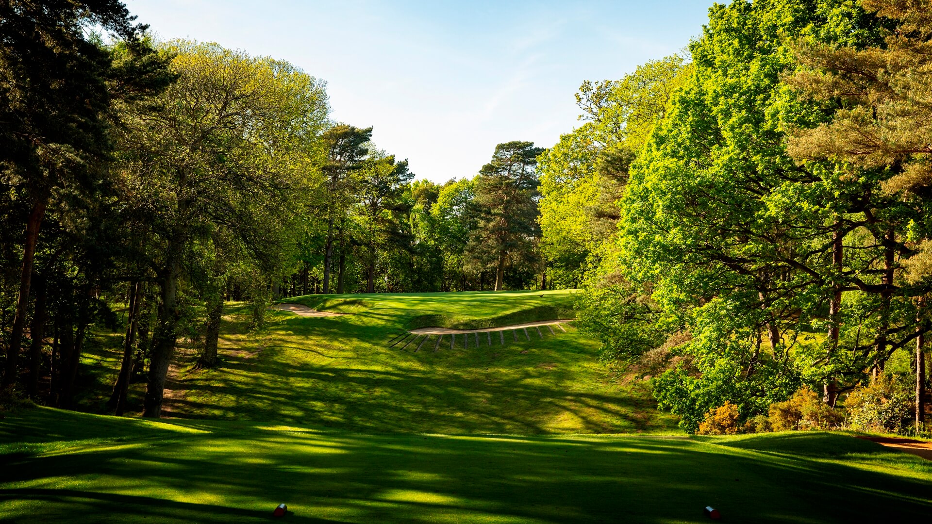 Duke's Course Woburn | Woburn Golf Club