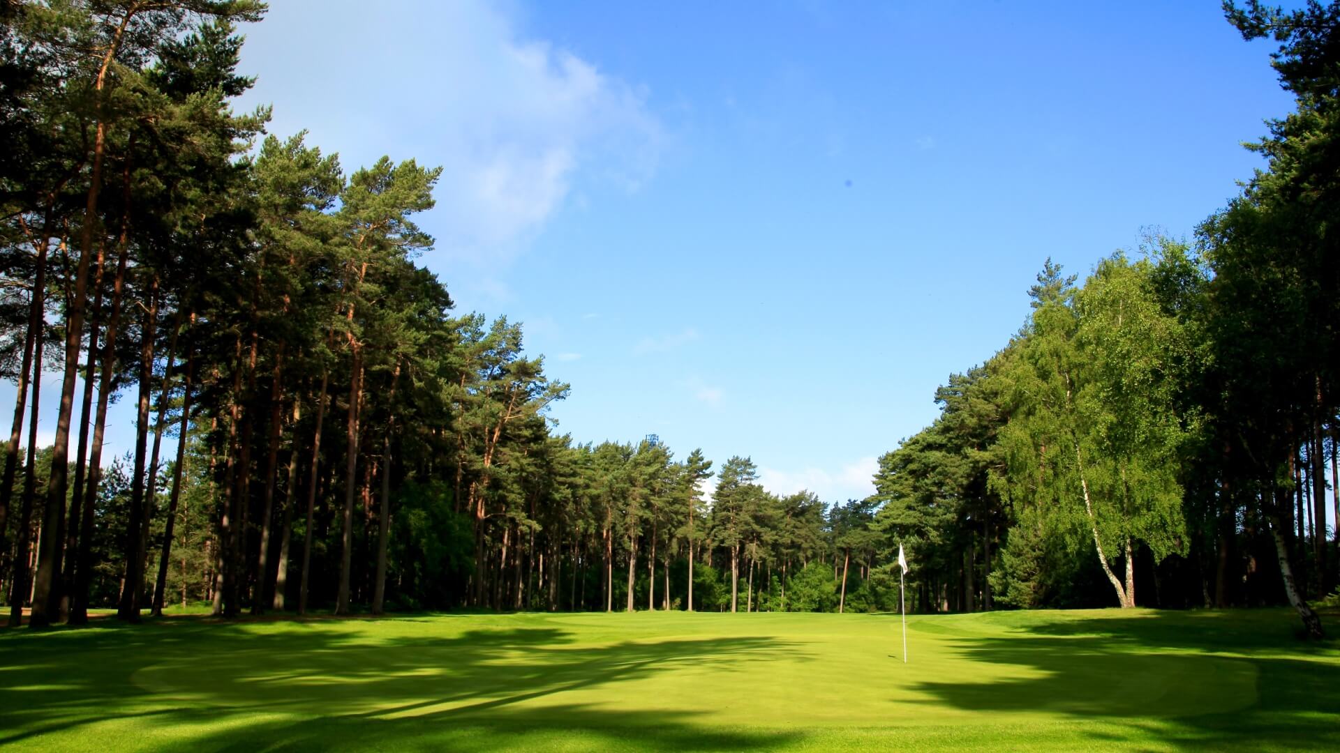 Duchess | Woburn Golf Club