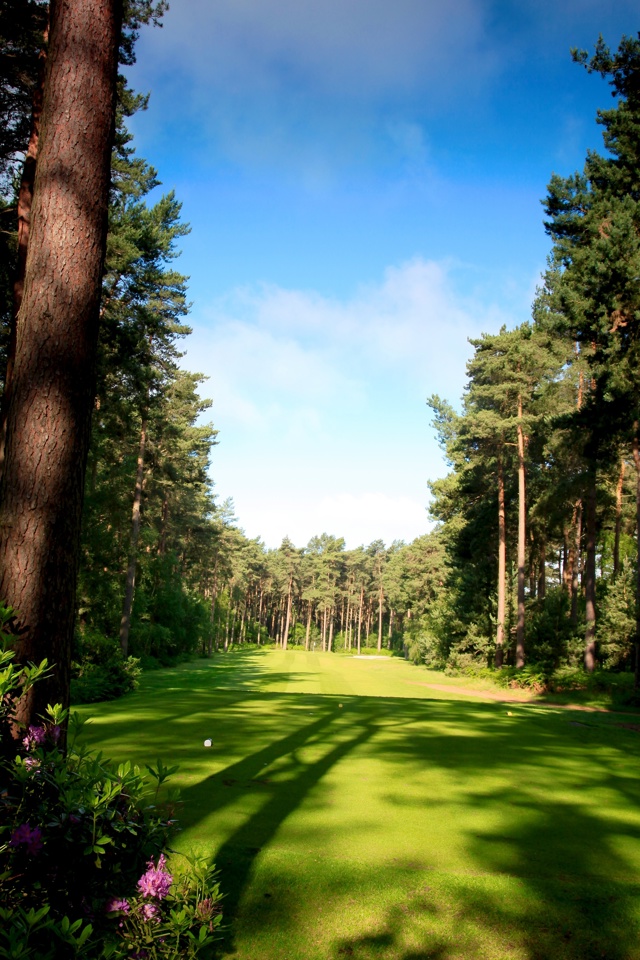 Brochure | Woburn Golf Club