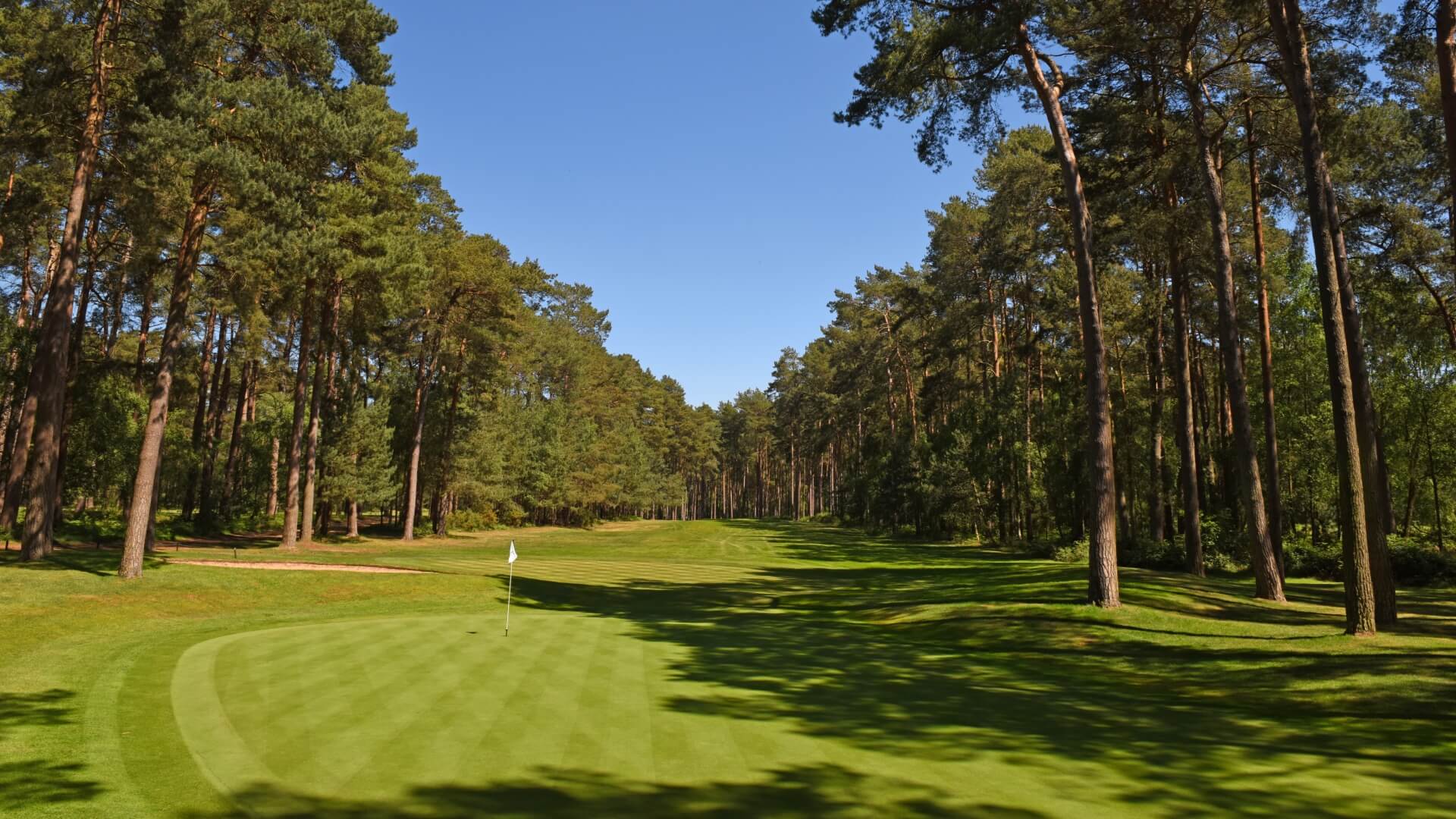 Duchess | Woburn Golf Club