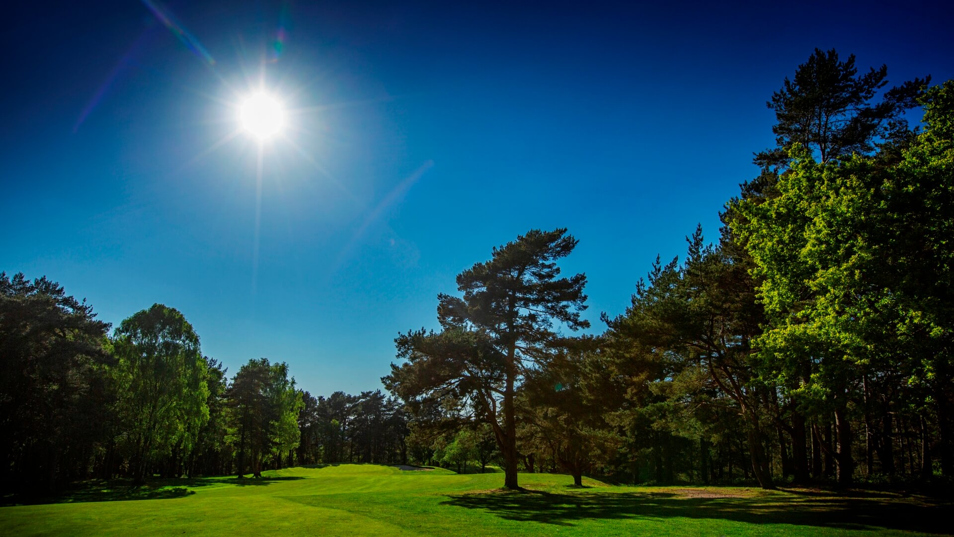 Woburn Golf Club | Woburn Golf Club