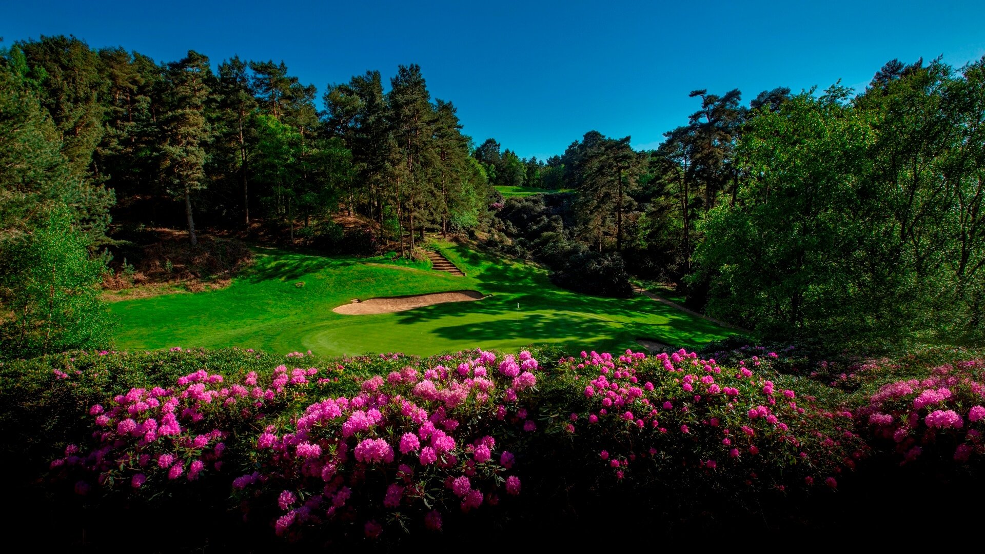 Woburn Golf Club | Woburn Golf Club