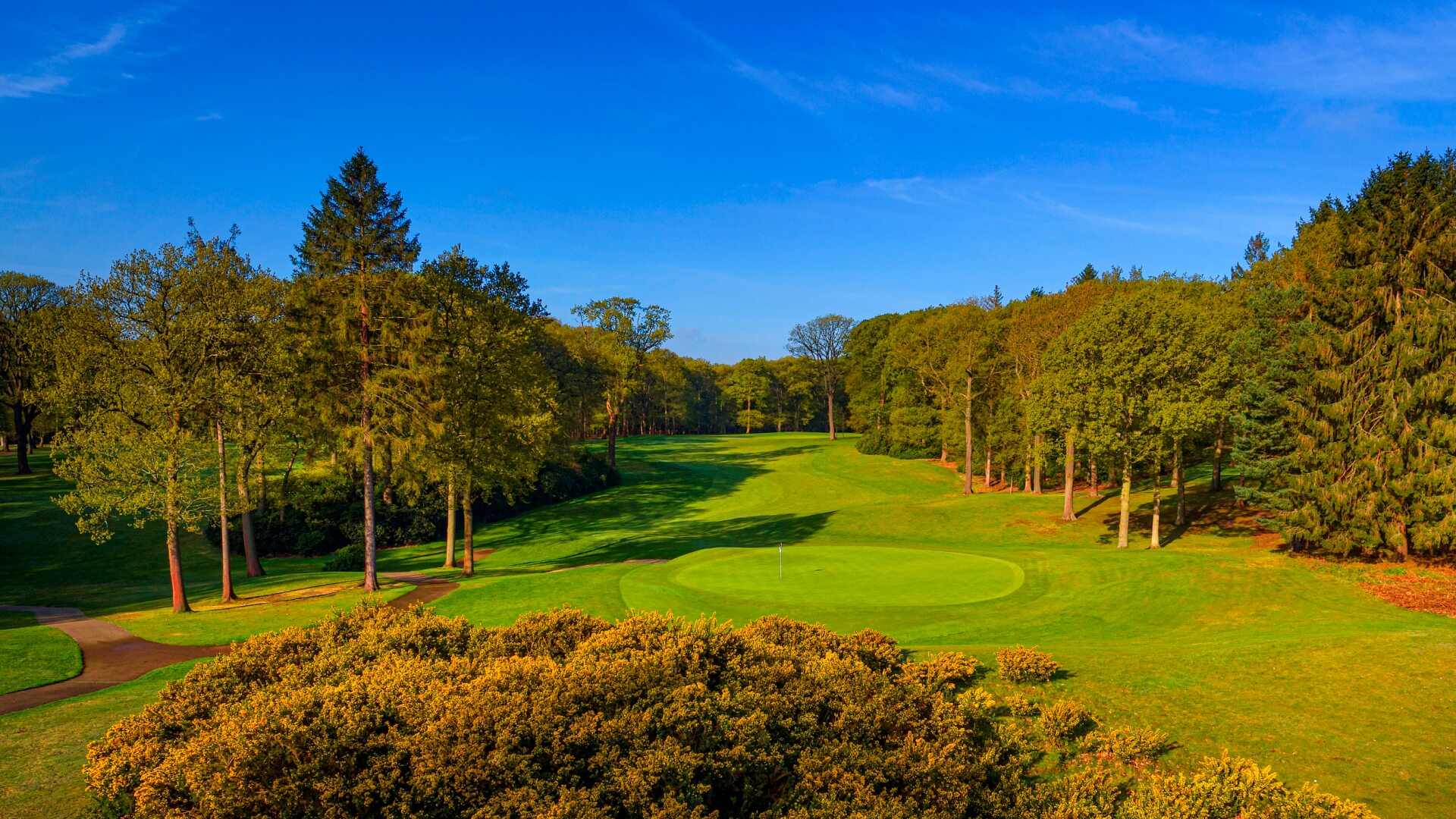 Marquess | Woburn Golf Club