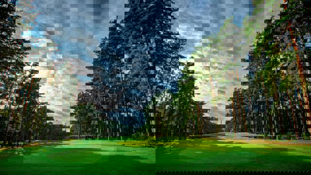 Duchess | Woburn Golf Club