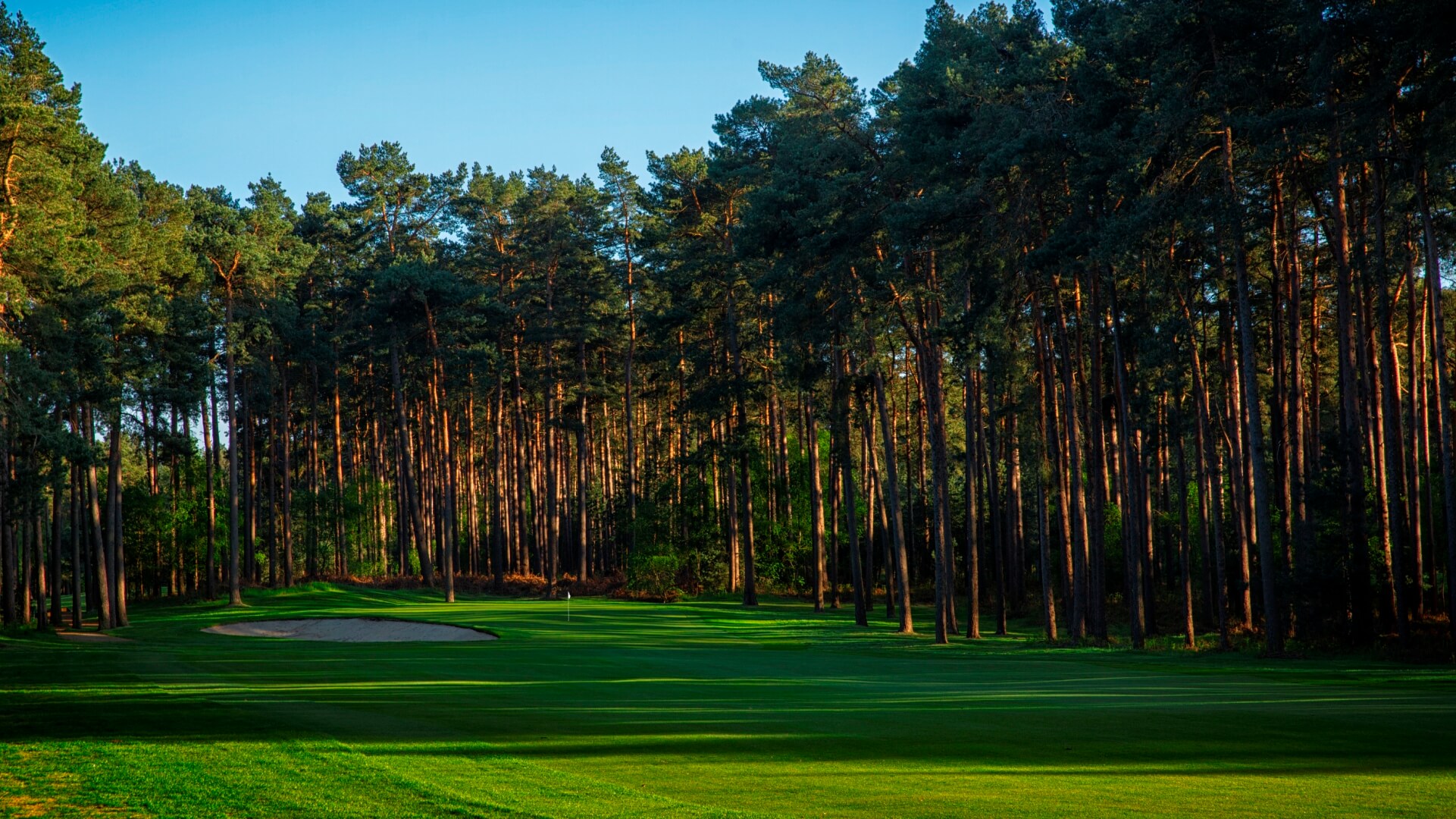 Duchess | Woburn Golf Club