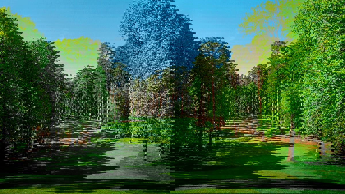 Duchess | Woburn Golf Club