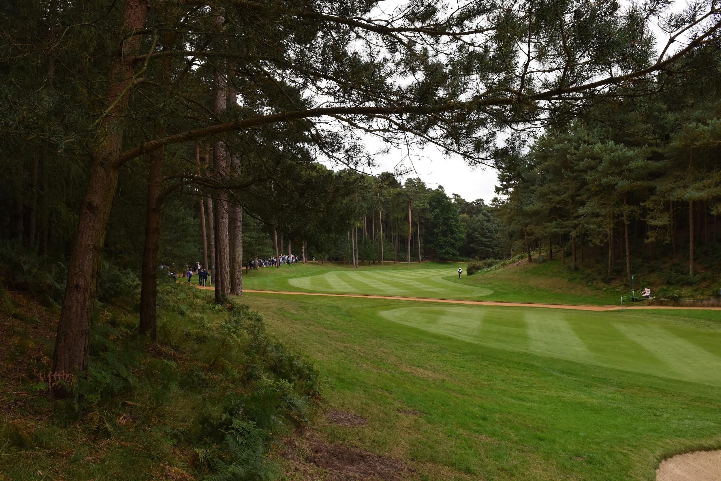 Duke's Course Woburn | Woburn Golf Club