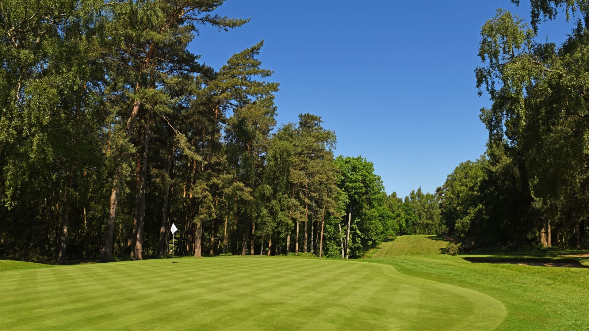 Duke's Course Woburn | Woburn Golf Club